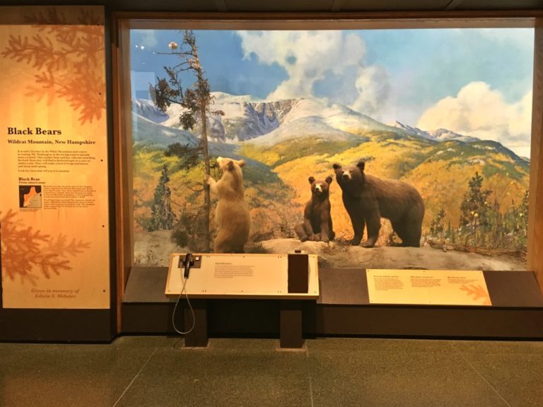 Museum of Science - Boston » The Muse Life