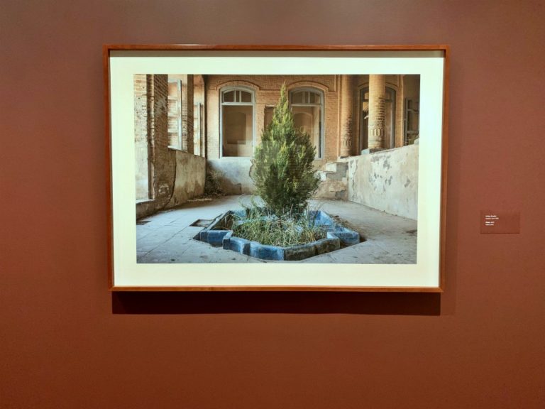 Gohar Dashti's "Home" » The Muse Life