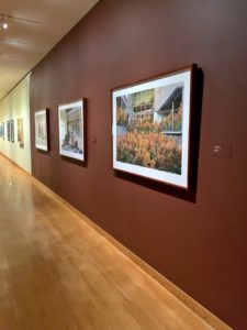 Gohar Dashti's "Home" » The Muse Life