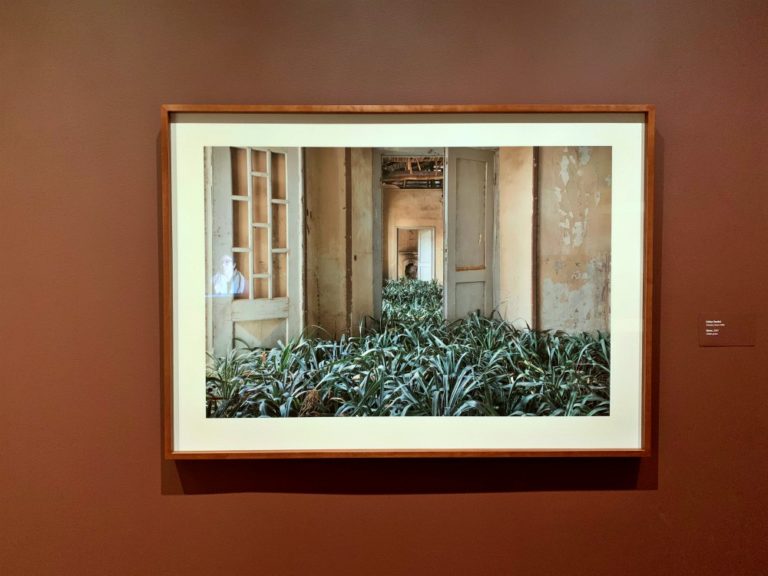 Gohar Dashti's "Home" » The Muse Life