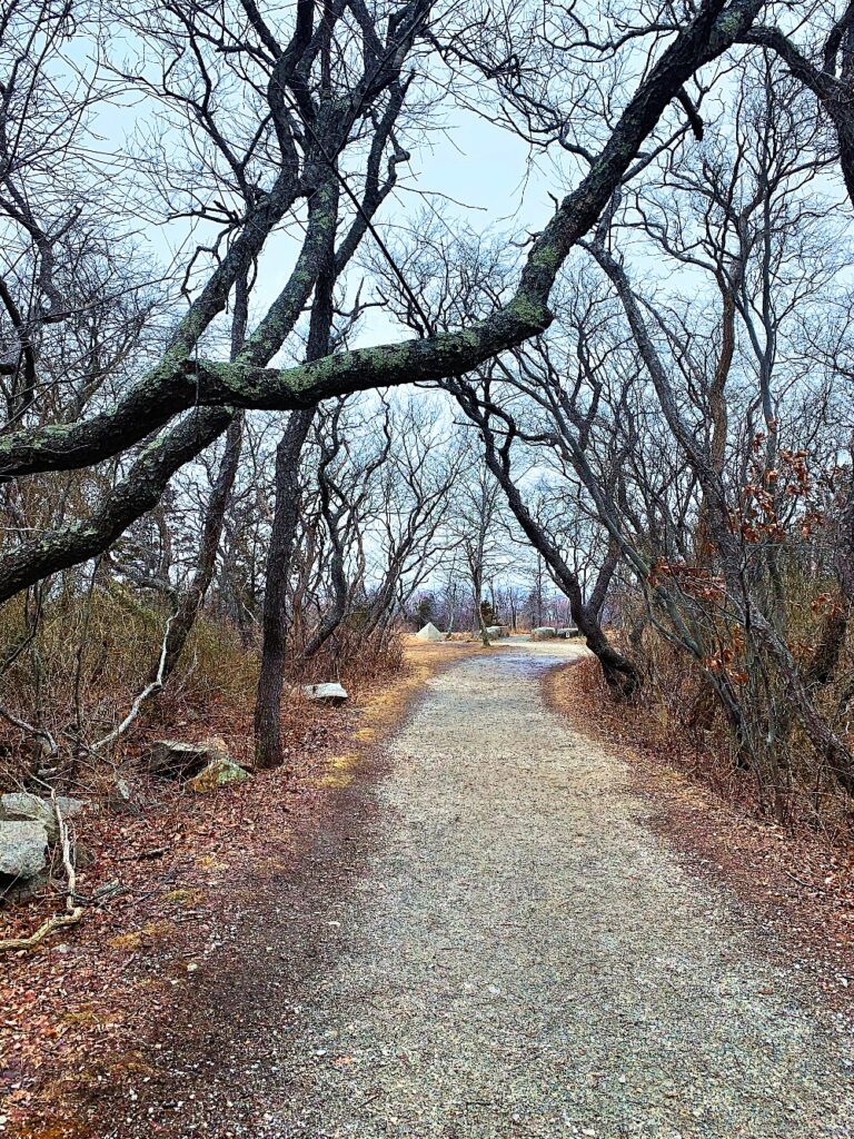 Morning in Rockport » The Muse Life